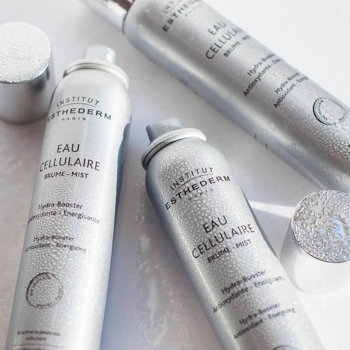 Bruma Esthederm Spray Água Celular com 100ml | Droga Raia