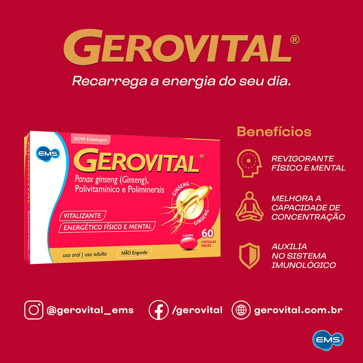 Suplemento Vitamínico Gerovital com 60 cápsulas | Droga Raia