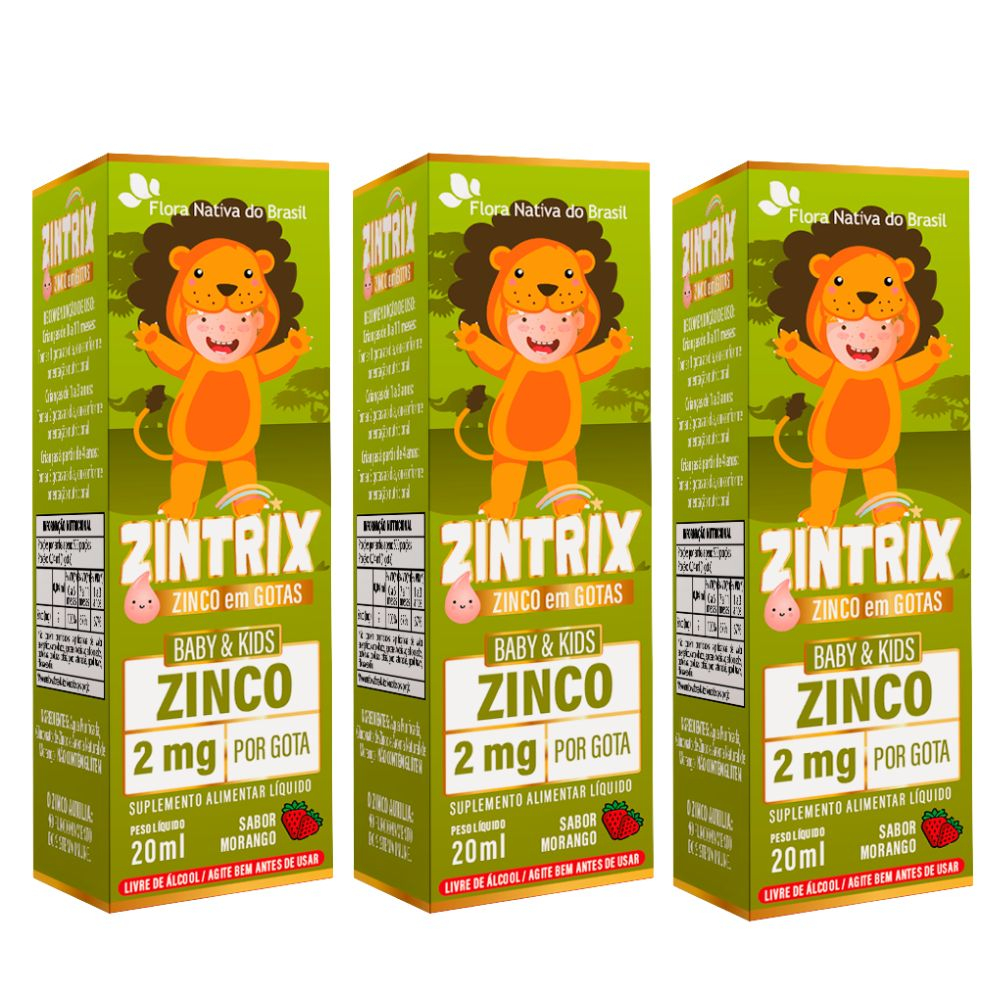KIT 3X ZINTRIX (ZINCO INFANTIL) 20ML - FLORA NATIVA SABOR:MORANGO ...