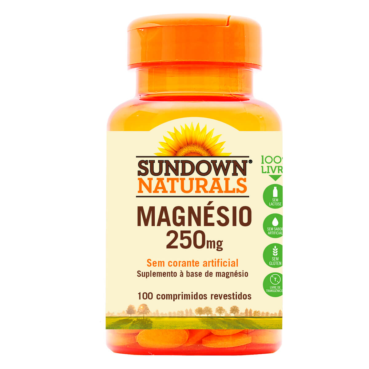 Magnésio 250mg Sundown 100 Comprimidos | Droga Raia