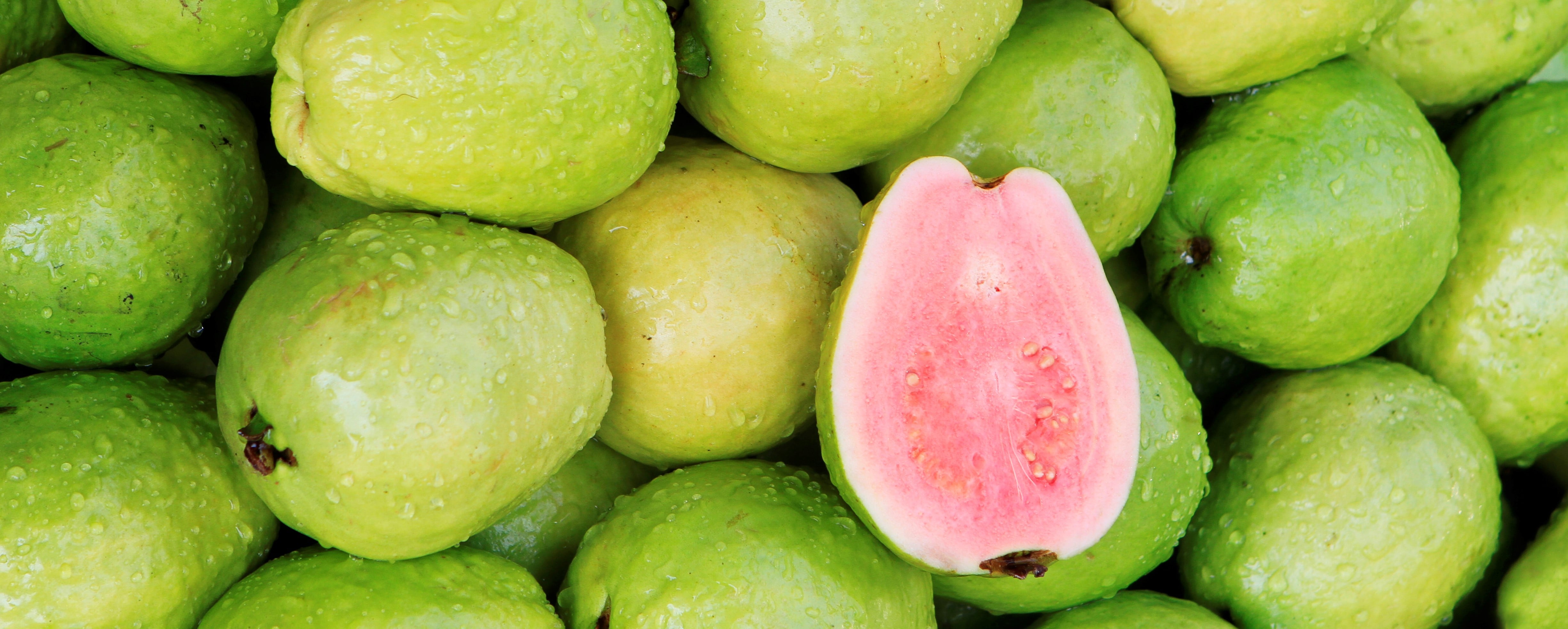 Goiaba: mais vitamina C que a laranja e mais potássio que a banana