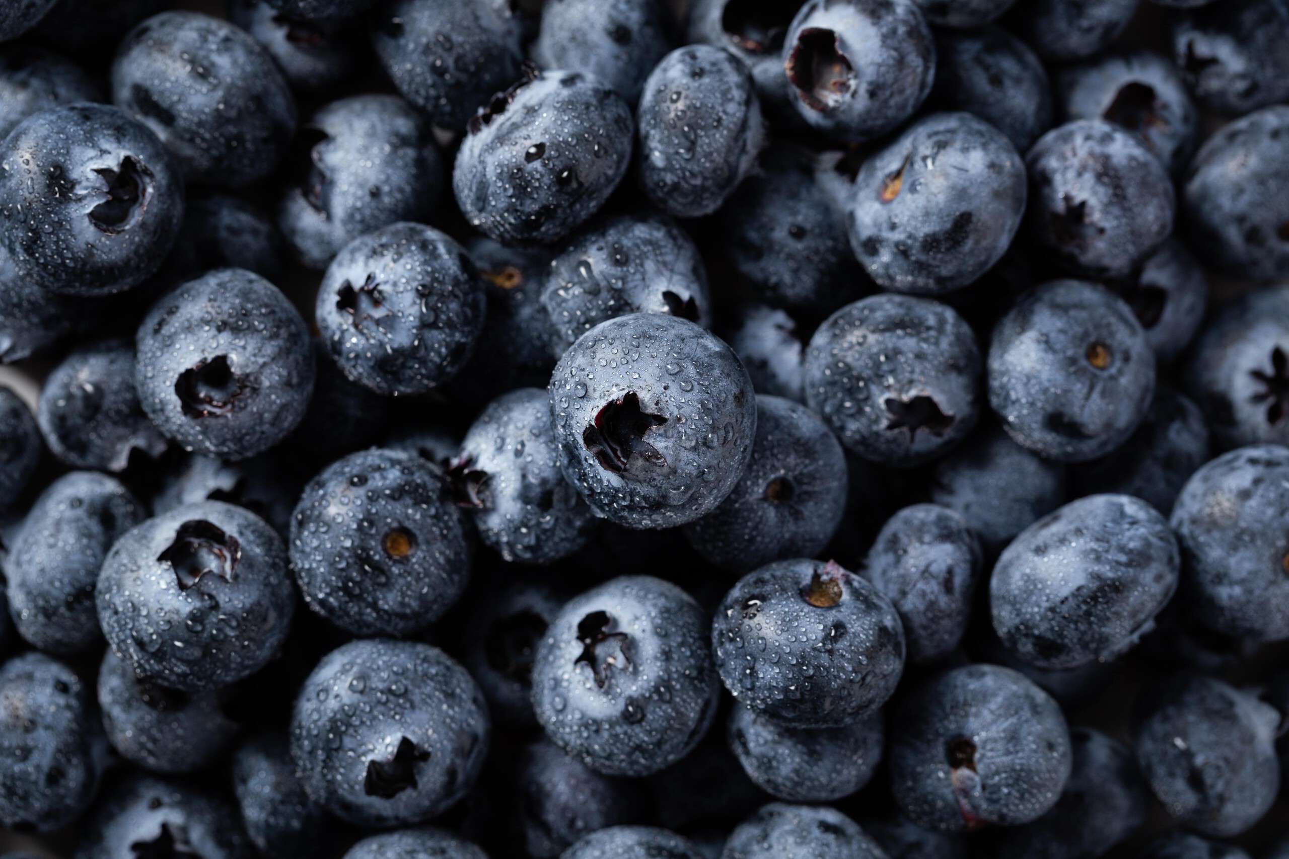 Mirtilo: benefícios e como consumir o superalimento - Mais Saúde